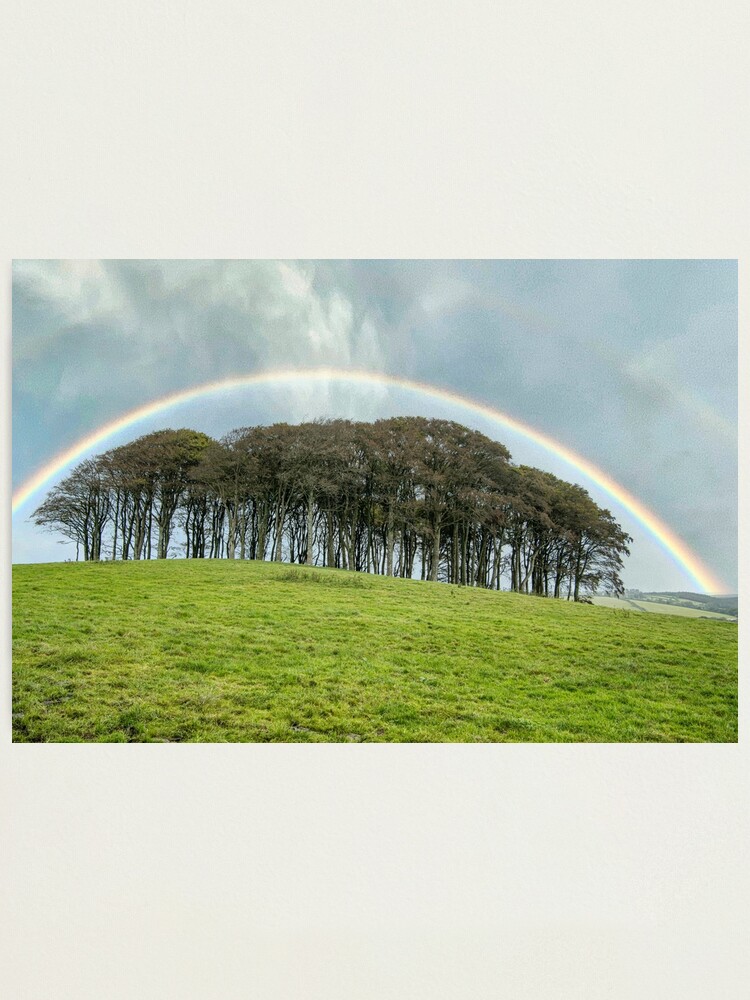 "Rainbow Nearly Home Trees, Coming home trees, Cornwall trees ...