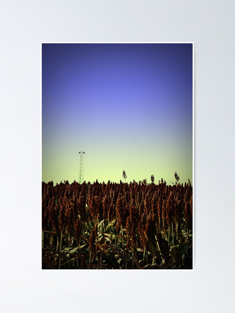 "Sorghum Fields Forever" Poster by pmistric | Redbubble