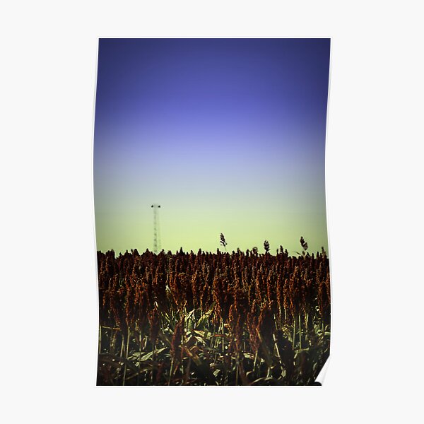 "Sorghum Fields Forever" Poster by pmistric | Redbubble