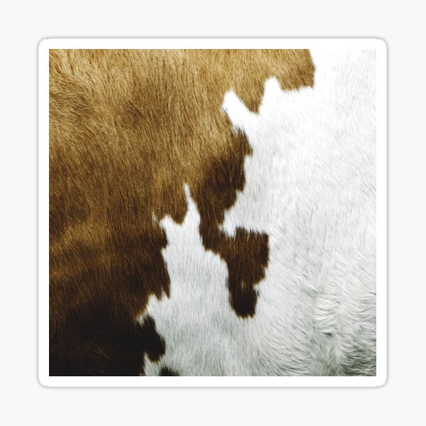 Faux Fur Stickers | Redbubble