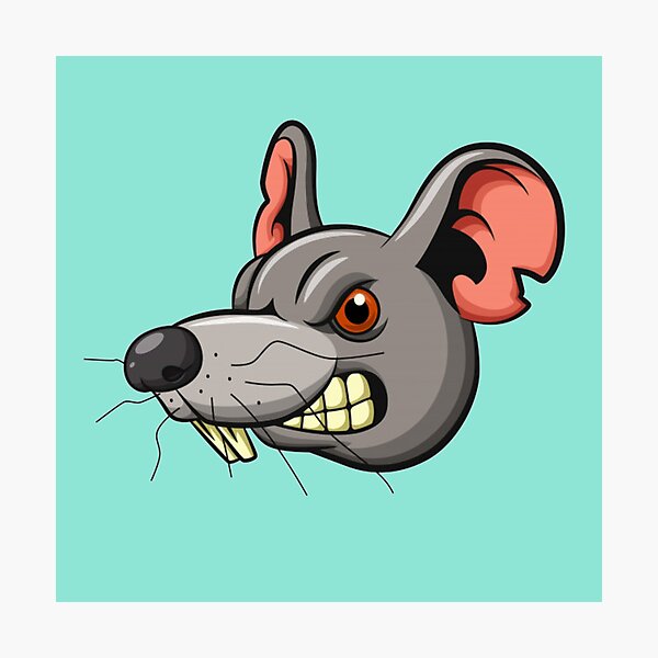 Angry Mouse Photographic Prints | Redbubble