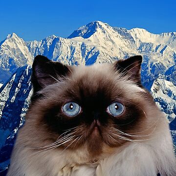 "Himalayan Cat " Mask for Sale by Erika Kaiseršot | Redbubble