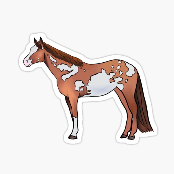 "Paint Horse Mare" Sticker for Sale by Lilystreet | Redbubble