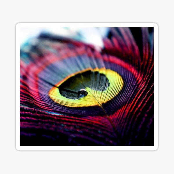 "Mor pankh design for red bubble" Sticker by Piyushke | Redbubble