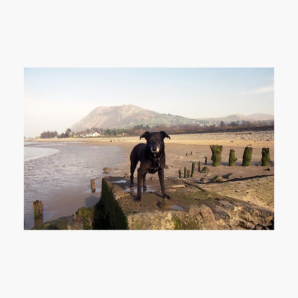 Shela Gifts & Merchandise for Sale | Redbubble