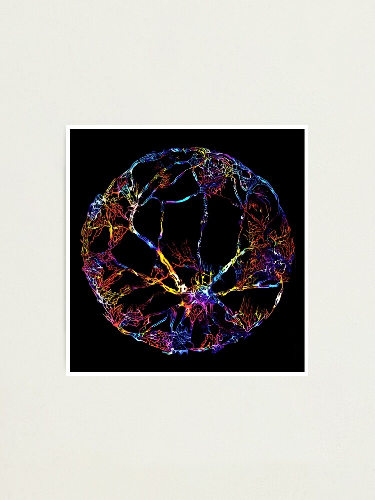 "electron microscope based nerve/autapse illustration" Photographic ...