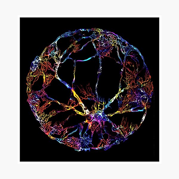 "electron microscope based nerve/autapse illustration" Photographic ...