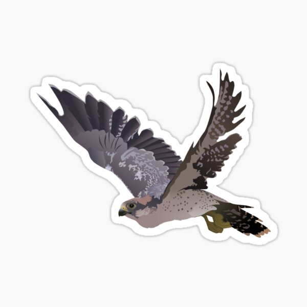 "Falcon" Sticker by Artur88 | Redbubble