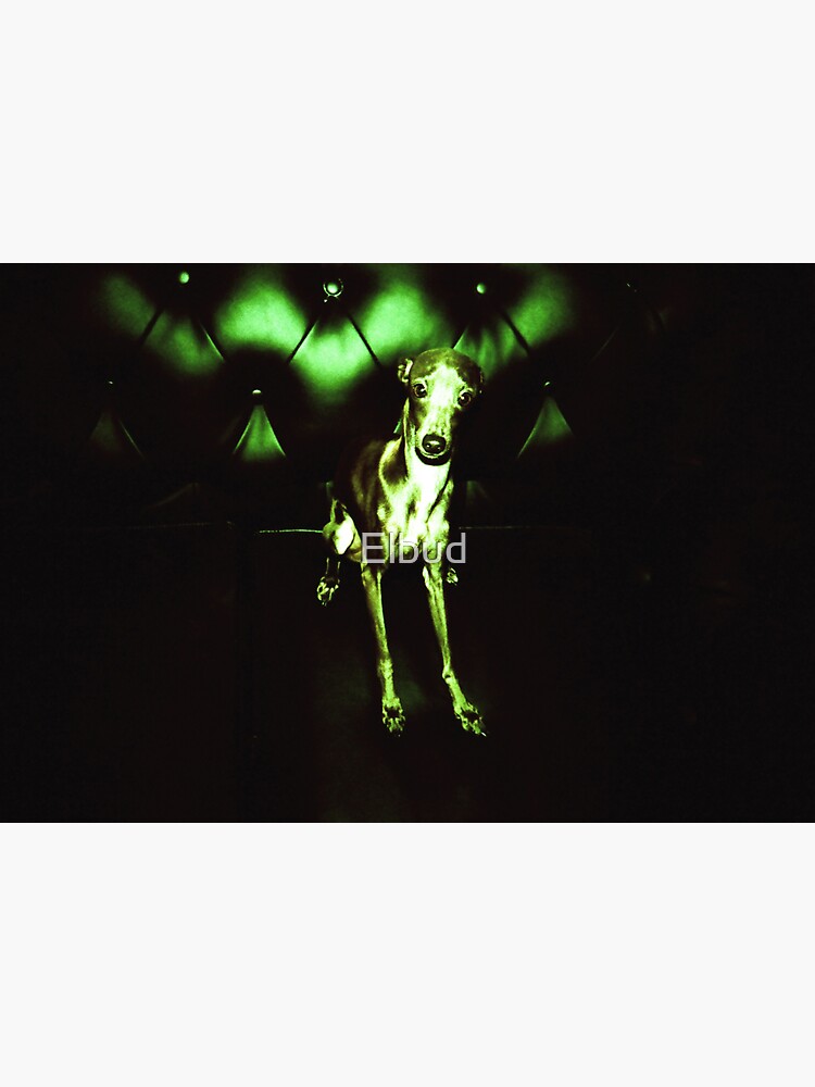 "Hello Snoop" Sticker for Sale by Elbud | Redbubble