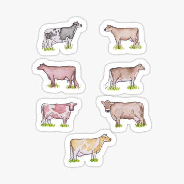 "Watercolor Dairy Cows" Sticker for Sale by shelovesducks | Redbubble