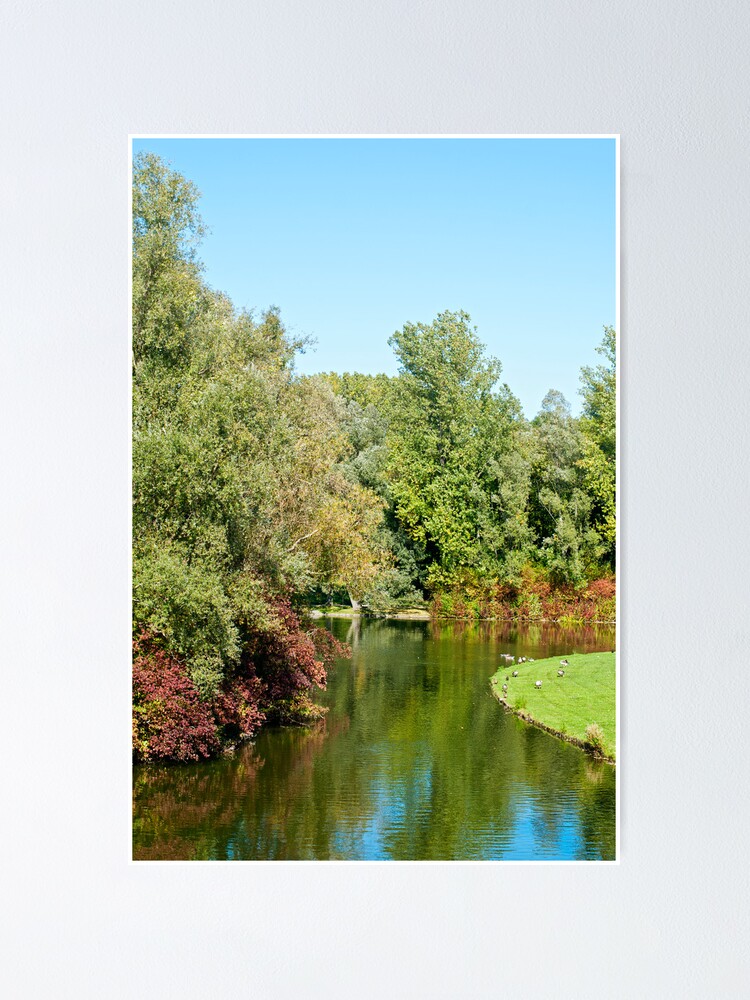 "Rheinaue Park in Bonn" Poster for Sale by Vac1 | Redbubble