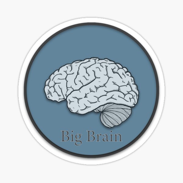 Bigbrain Gifts & Merchandise for Sale | Redbubble