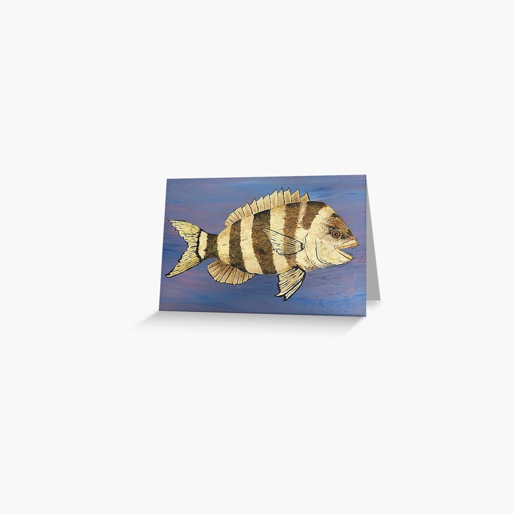 "Sheepshead fish painting" Greeting Card for Sale by artbymeagan ...