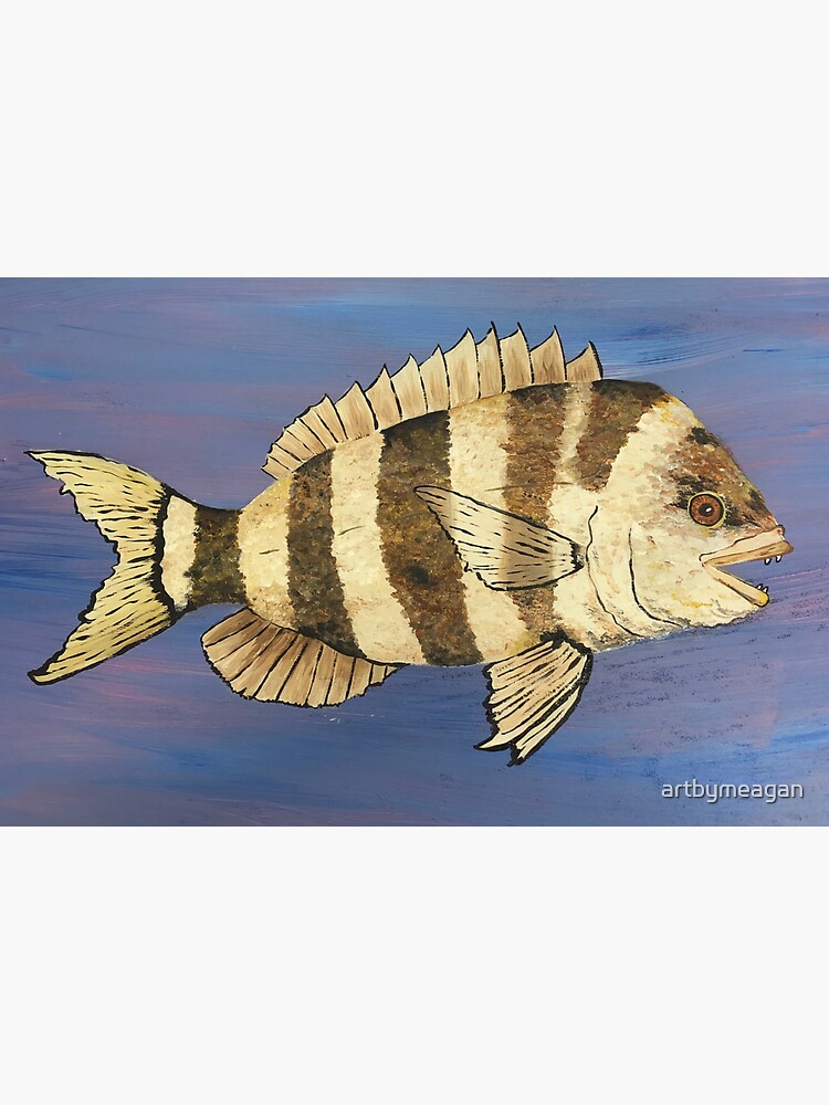 "Sheepshead fish painting" Sticker for Sale by artbymeagan | Redbubble