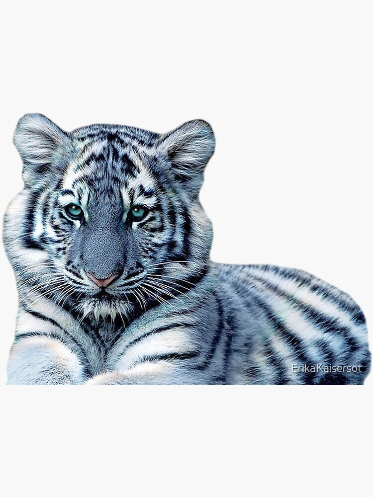 "Blue White Tiger" Sticker for Sale by ErikaKaisersot | Redbubble