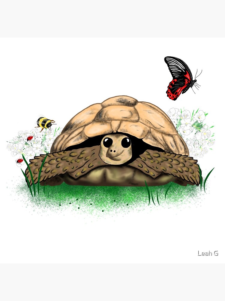 I Love My Tortoise Cute Cartoon Poster By Cartoonistlg Redbubble