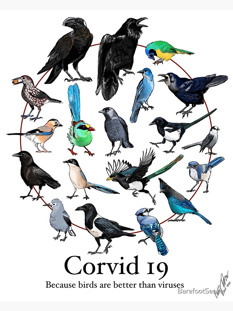 "Corvid-19" Poster for Sale by BarefootSeeker | Redbubble