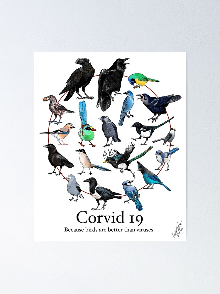 "Corvid-19" Poster for Sale by BarefootSeeker | Redbubble