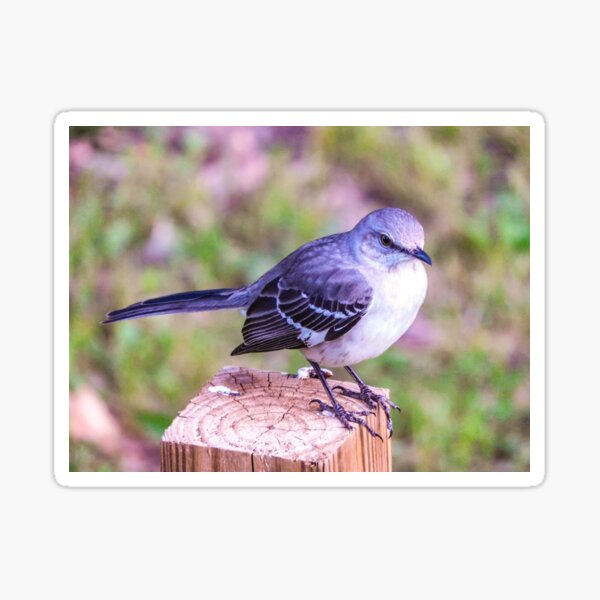 Spiraleffects Shop | Redbubble