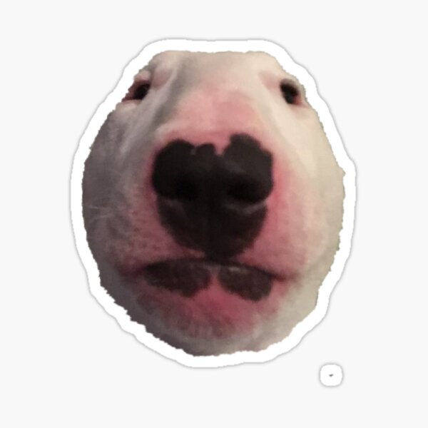 "walter walter walter " Sticker for Sale by bandixie102 | Redbubble