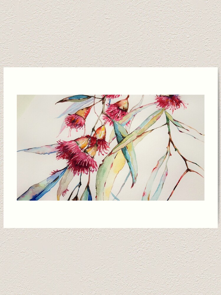 "Gum Tree Watercolour" Art Print for Sale by EuphoricRice | Redbubble