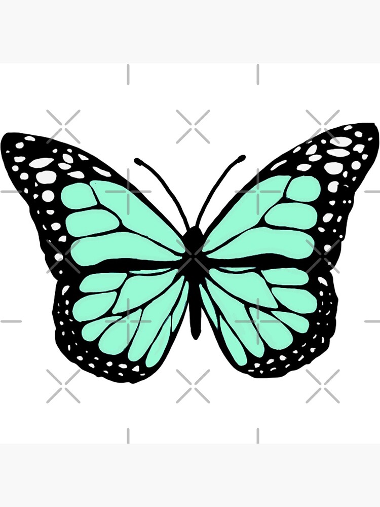 "teal butterfly" Poster by sydwallach | Redbubble
