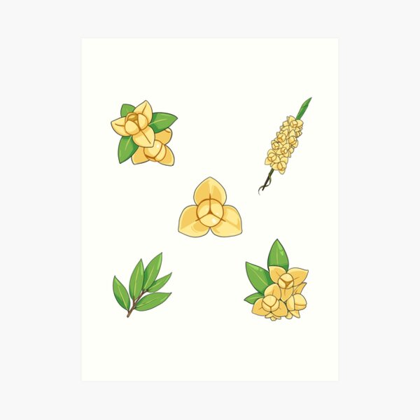 "Rumdul Flower" Art Print for Sale by rothanavatar | Redbubble