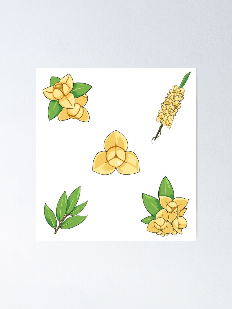 "Rumdul Flower" Poster for Sale by rothanavatar | Redbubble