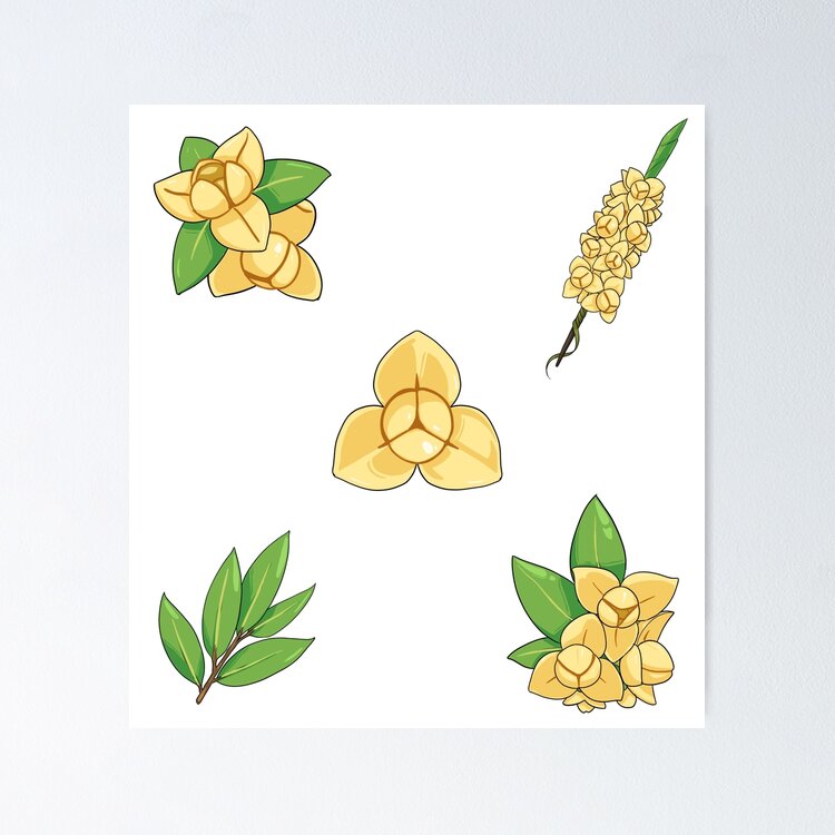 "Rumdul Flower" Art Board Print for Sale by rothanavatar | Redbubble