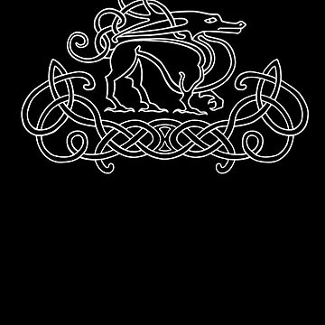 "Pictish Dragon" Essential T-Shirt for Sale by Dragon84 | Redbubble