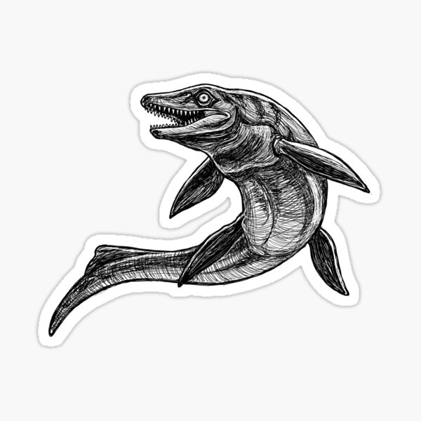 "Graphic Illustration: Mosasaurus" Sticker for Sale by KatyMcCarten ...