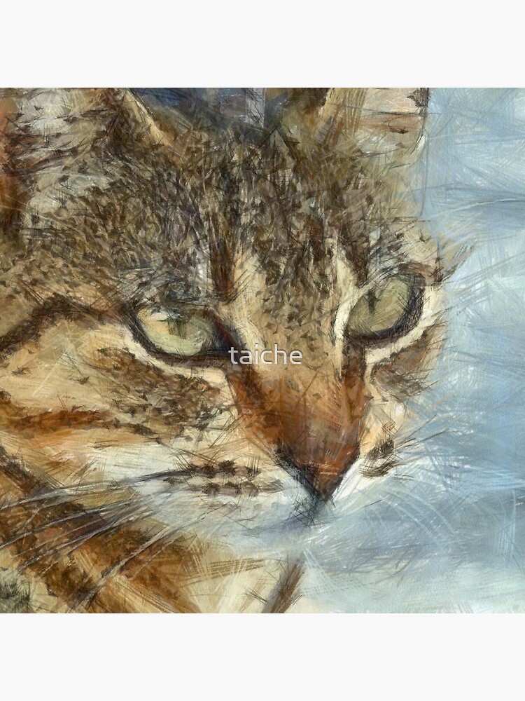 Stunning Tabby Cat Close Up Graphite Pencil Portrait Pin Button sold by ...