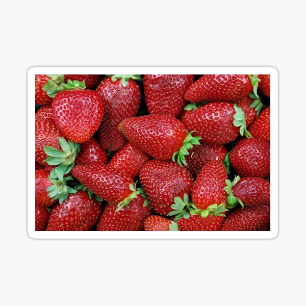 "Strawberries" Sticker for Sale by ErikaKaisersot | Redbubble