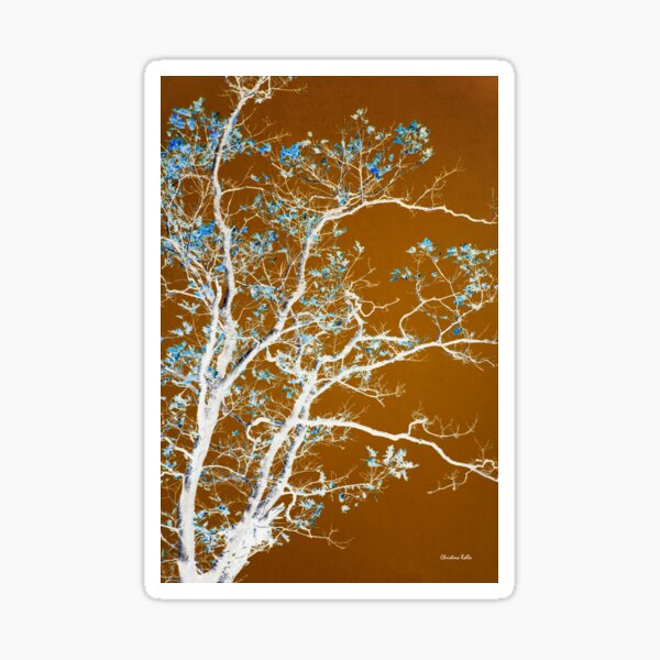 "Forest Tree Art" Sticker for Sale by rollosphotos | Redbubble