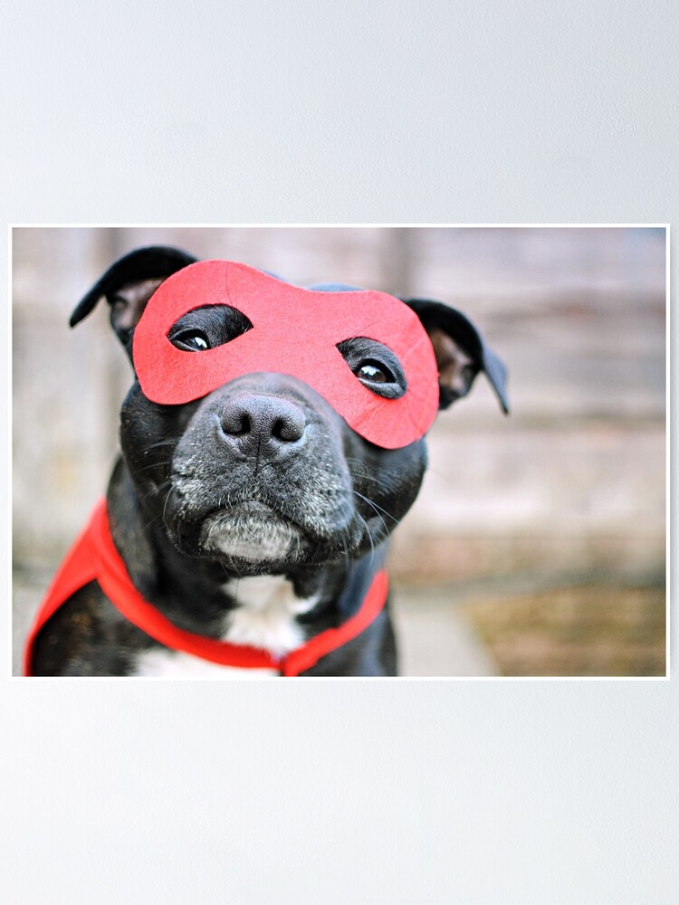 "Super Hero Staffy" Poster for Sale by michellemc66 | Redbubble