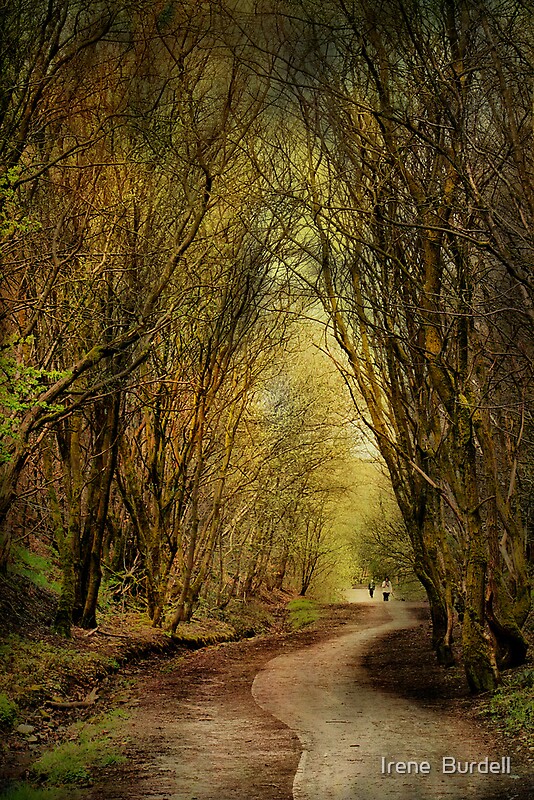 "The Long Winding Path ." by Irene Burdell | Redbubble