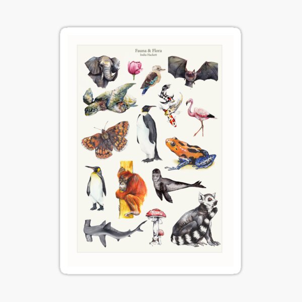 "Biodiversity Poster" Sticker for Sale by ind-illustrates | Redbubble