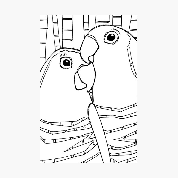 Impression photo « Inséparable à face pêche, Page de livre de coloriage ...