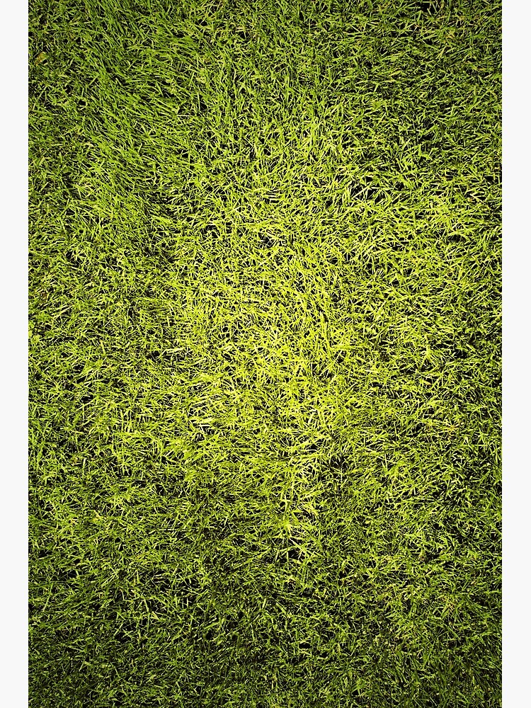 "Green grass" Poster for Sale by walkmanakos | Redbubble