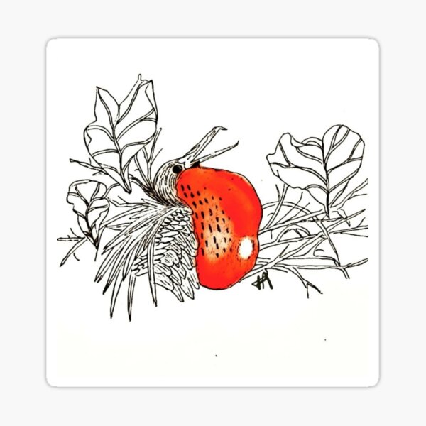 "Birdman" Sticker for Sale by Birdbonetattoo | Redbubble