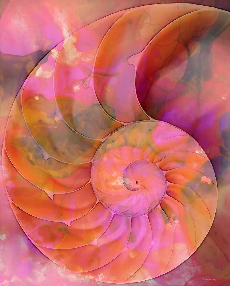 "Colorful Nautilus Shell By Sharon Cummings" by Sharon Cummings | Redbubble