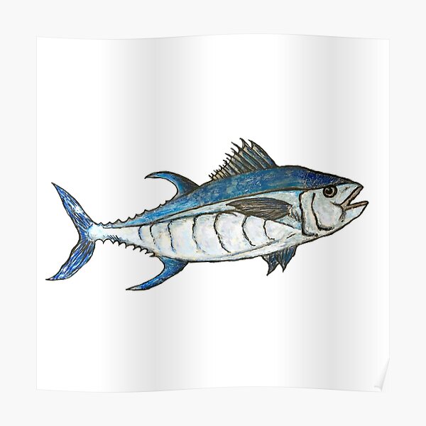"Atlantic Bluefin Tuna " Poster for Sale by Michelebuttons | Redbubble