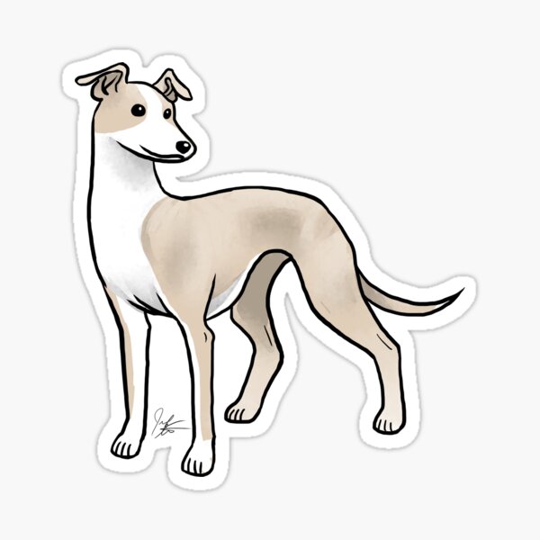 "Whippet" Sticker by jameson9101322 | Redbubble
