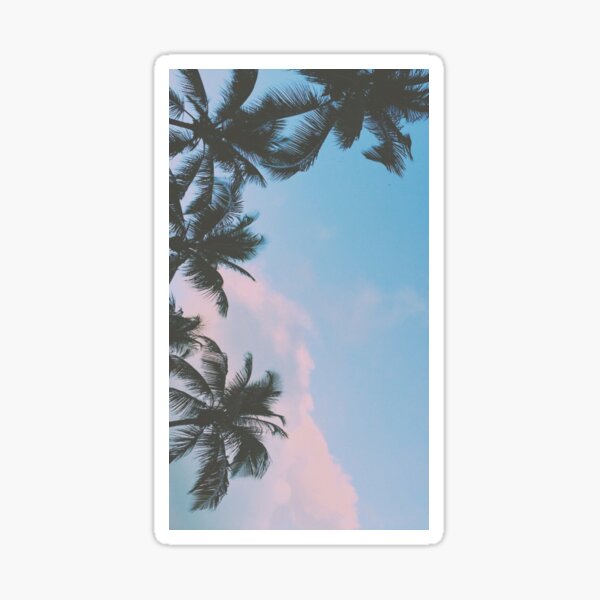 "Tumblr Sunset Palm Trees " Sticker by annazhng | Redbubble