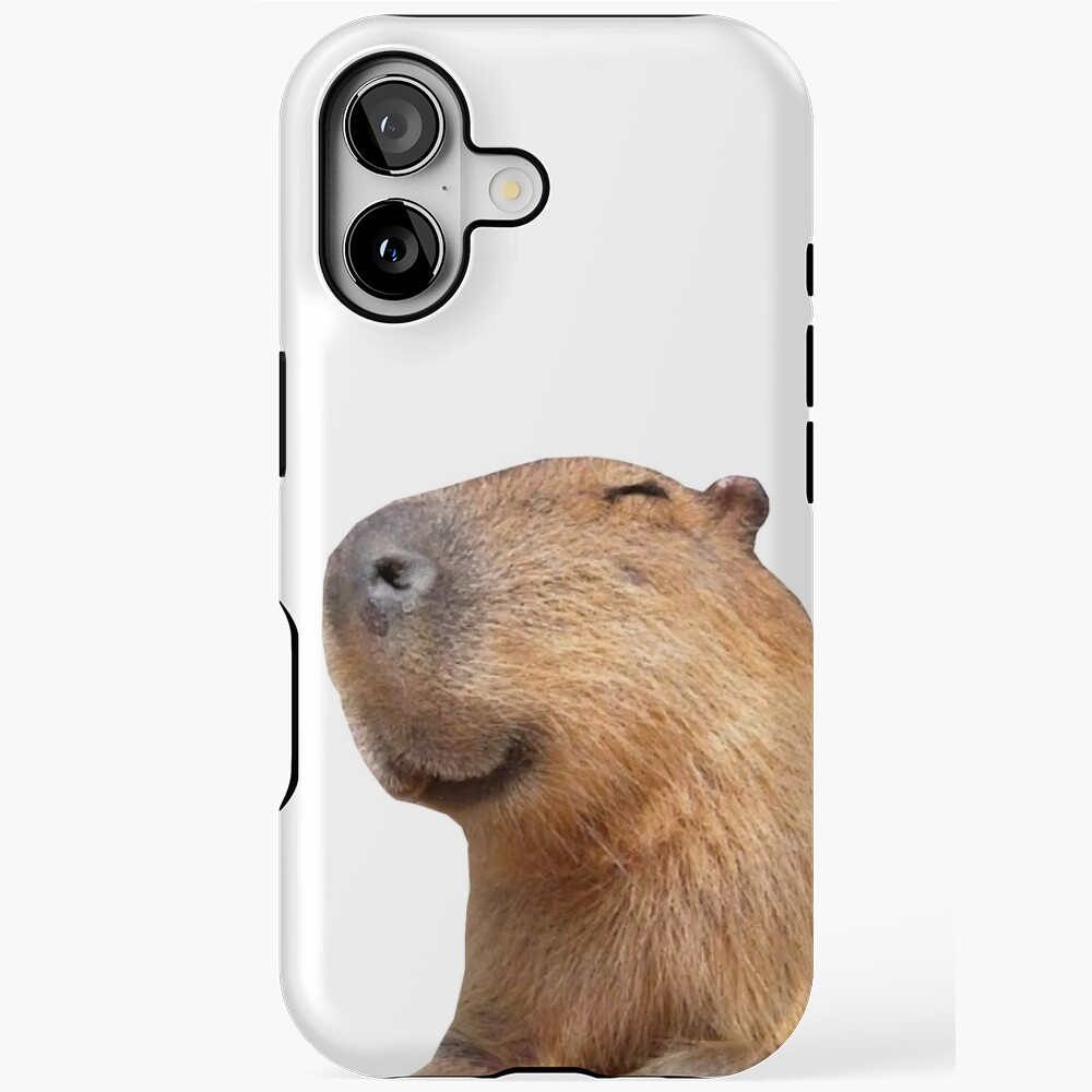 "Happy Capybara " Sticker for Sale by desexperiencia | Redbubble