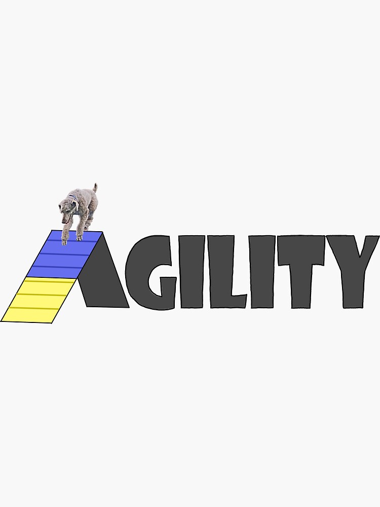 "Personalized Dog Agility" Sticker by kaylolli | Redbubble
