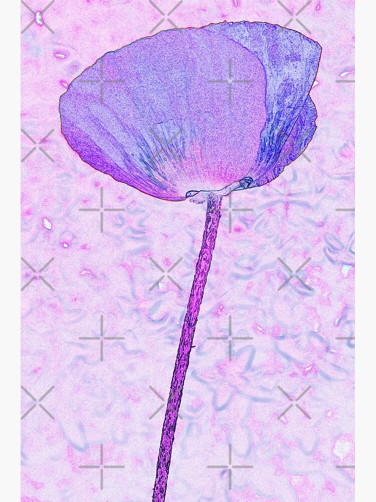 "Purple poppy ink and watercolour style pop art" Poster by Mindreader ...