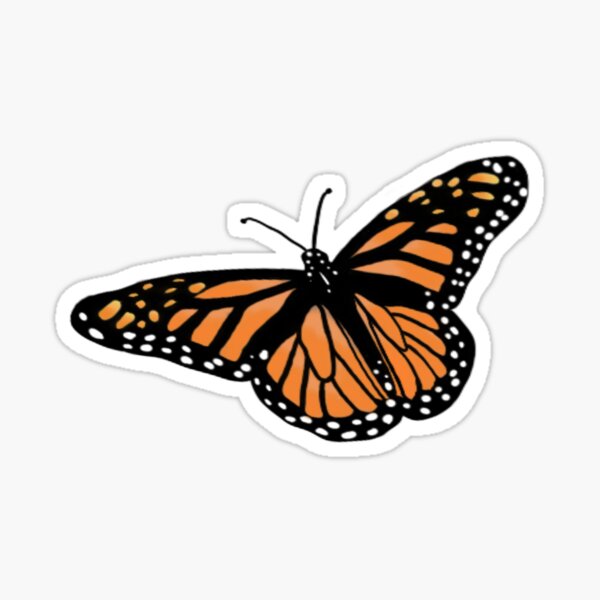 "Orange Butterfly" Sticker for Sale by elizabethlumbis | Redbubble