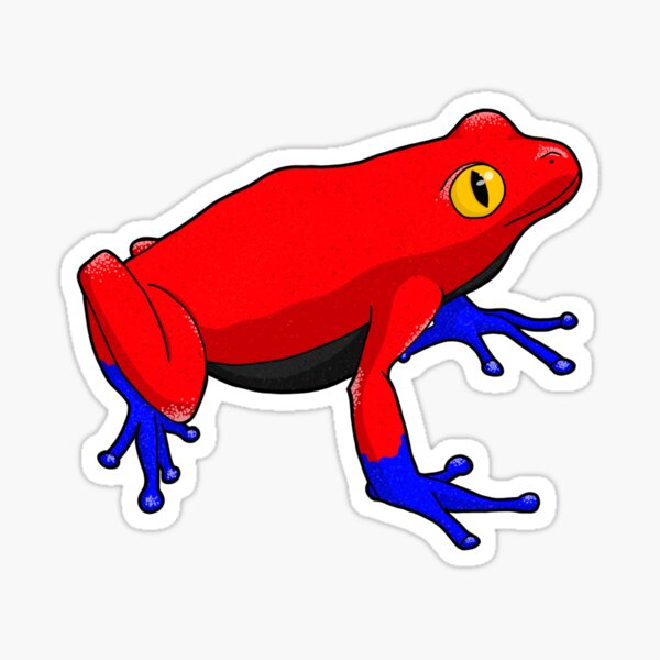 "Primary Frog" Sticker for Sale by mina-arts | Redbubble