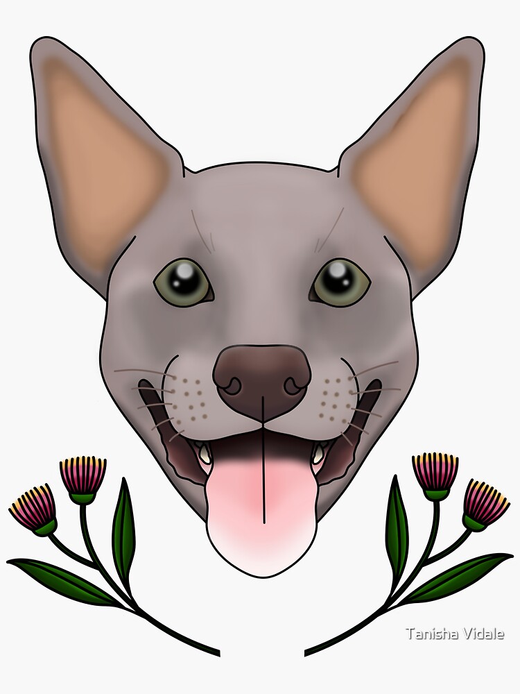 "Australian Kelpie (Fawn/Silver)" Sticker for Sale by tvidale | Redbubble